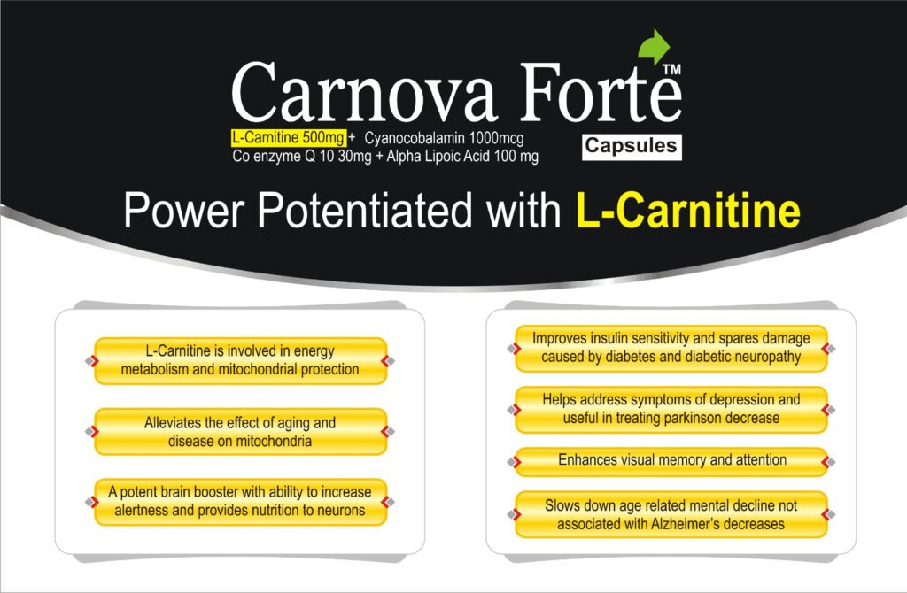 Carnova Forte Capsules – Boost Nerve & Energy Health